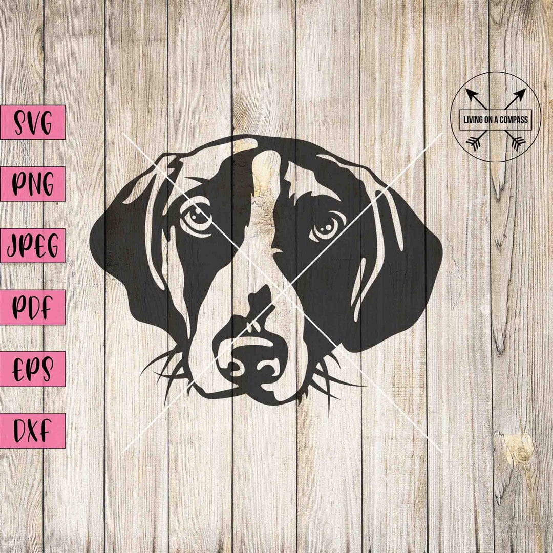 Drever Svg, Hunting Dog Svg, Hound Svg, Dog Face Svg, Dog Face Clipart ...