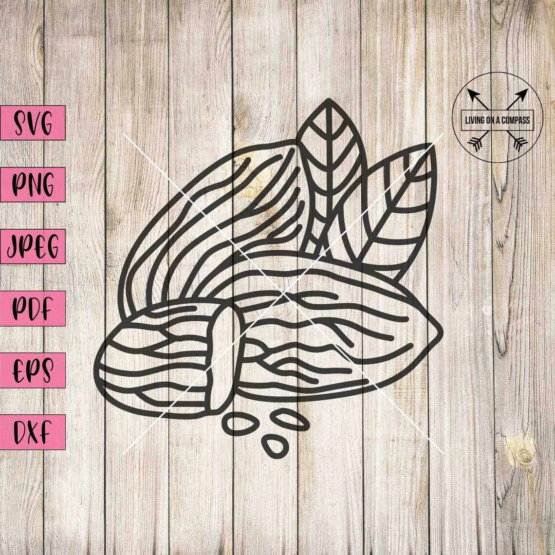 Kitchen Svg Nuts Clipart Almond Clipart Food Svg Food - Etsy