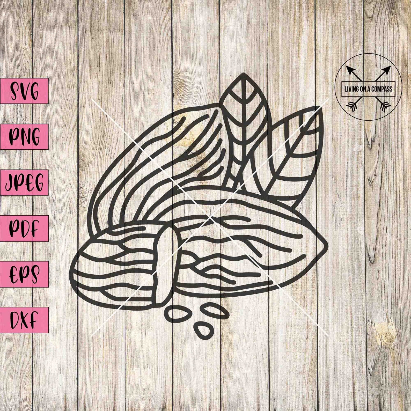 Kitchen Svg Nuts Clipart Almond Clipart Food Svg Food - Etsy