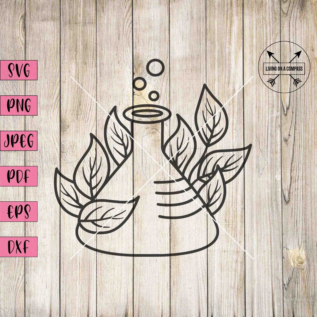 Erlenmeyer Flask Svg, Science Svg, Science Classroom Decor, Science Lab ...