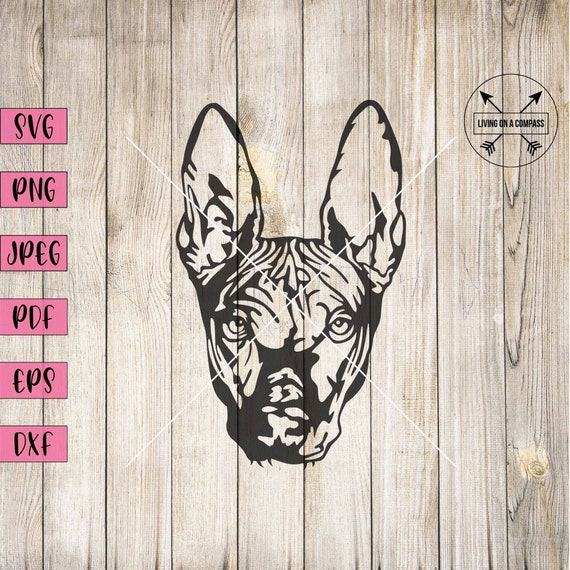Xoloitzcuintli Svg Dog Svg Dog Svg Files Dog Face Clipart - Etsy