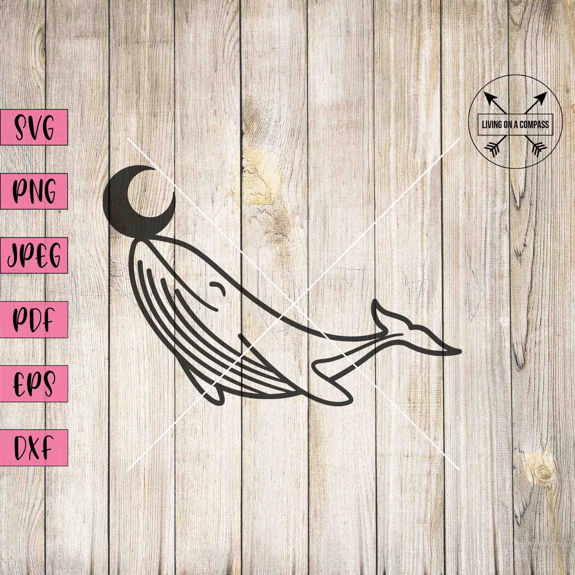 Ballena svg, ballena png, clipart de ballena, imágenes prediseñadas de ...