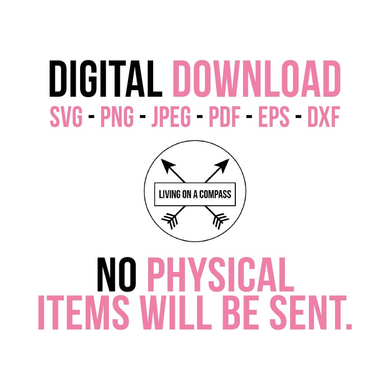 Shell Svg Conch Shell Shell Png Sun Decal Sun Clip Art - Etsy