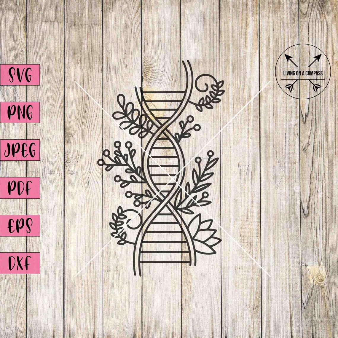 ADN svg, ADN png, clipart ADN, fichier de coupe d’ADN, vecteur d’ADN ...