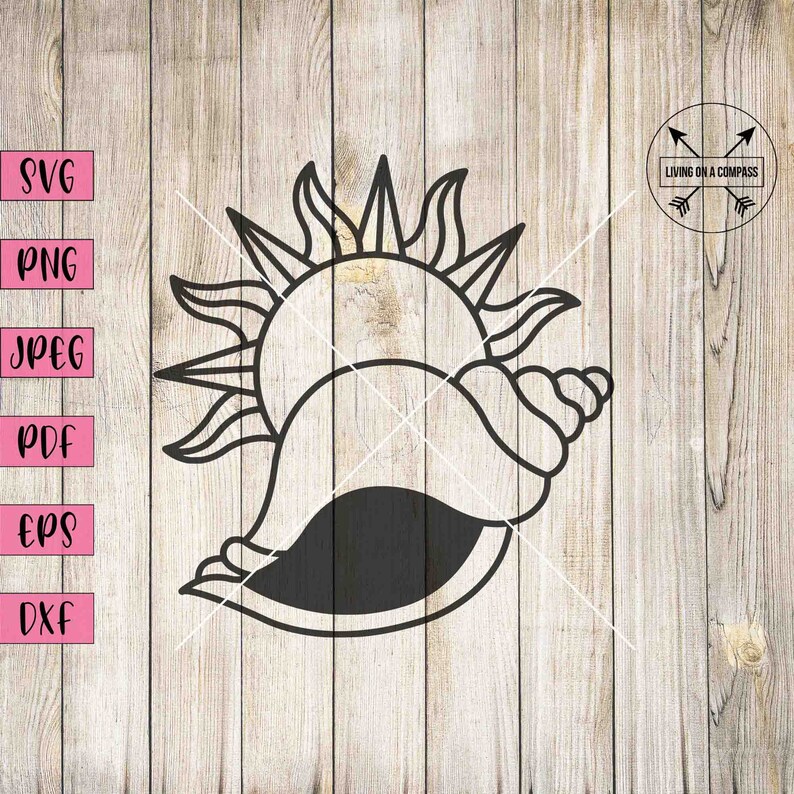 Shell Svg, Conch Shell, Shell Png, Sun Decal, Sun Clip Art, Shell Print ...