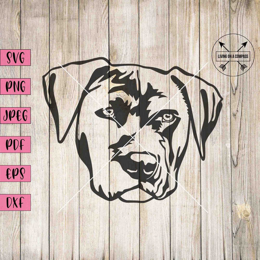 Blue Lacy Svg, Blue Lacy Dog, Lacy Dog, Dog Svg, Dog Clipart, Hound Svg ...