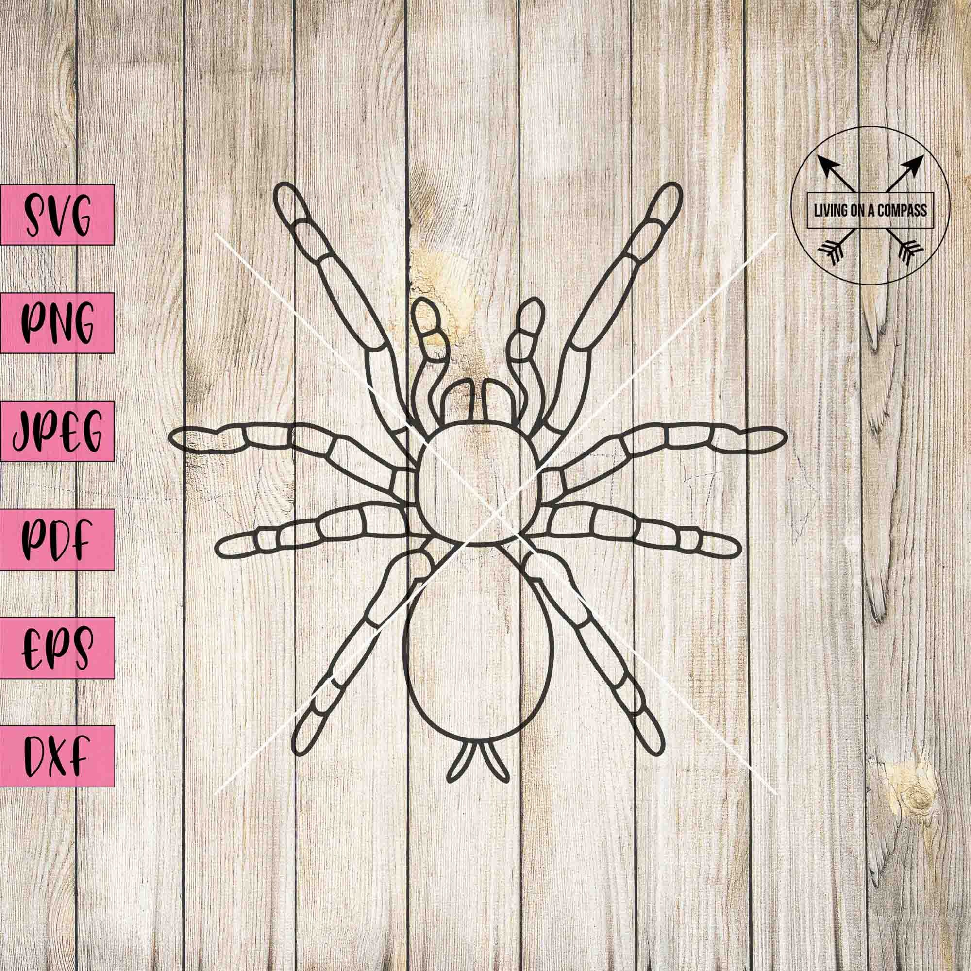 Tarantula Svg Tarantula Png Tarantula Clipart Spider Svg - Etsy Singapore