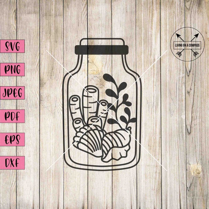 Seashells svg, seashell clipart, shell svg, shell png, ocean svg, ocean ...