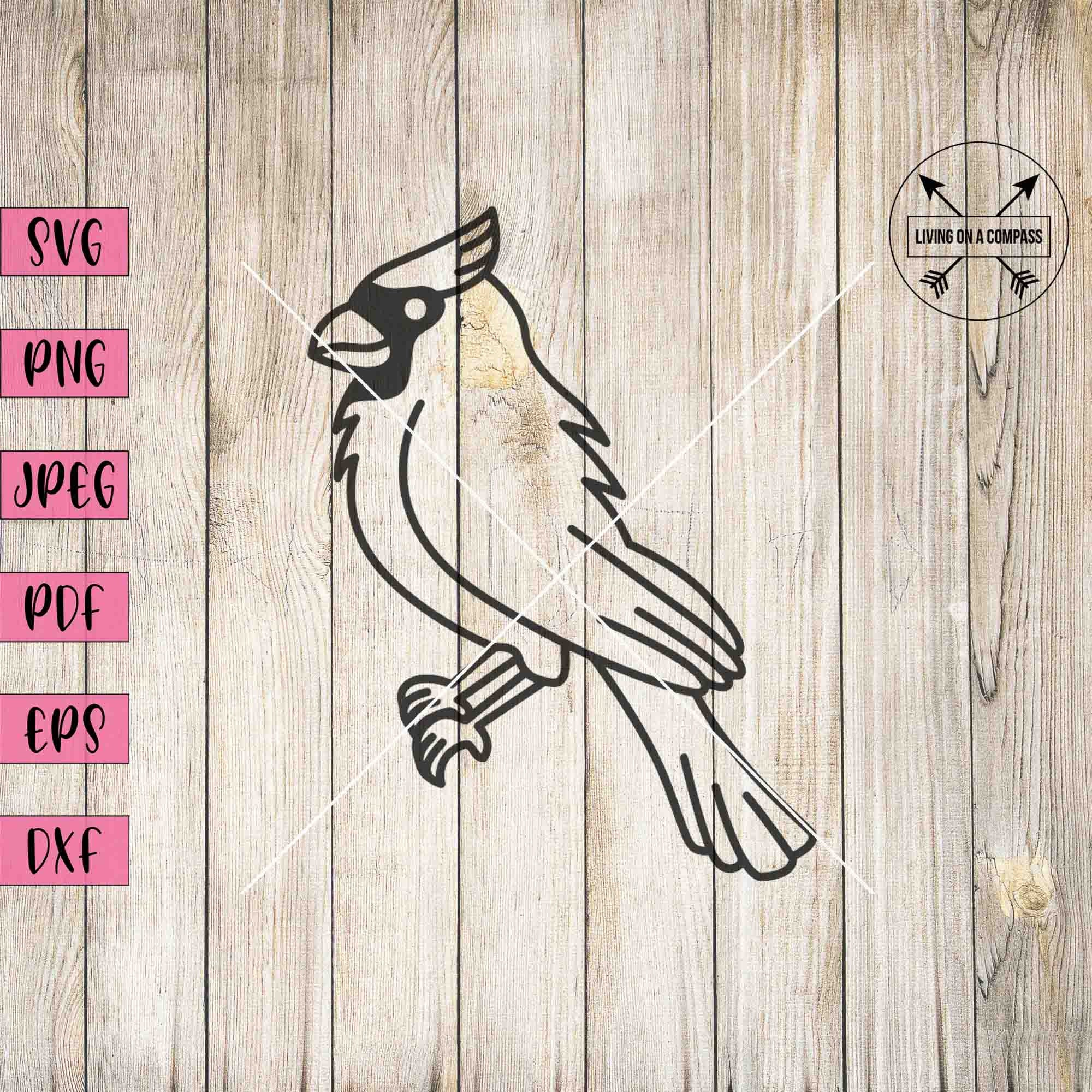 Blue Jay Svg, Blue Jay Art Print, Bird Svg, Bird Clipart, Birds Svg ...