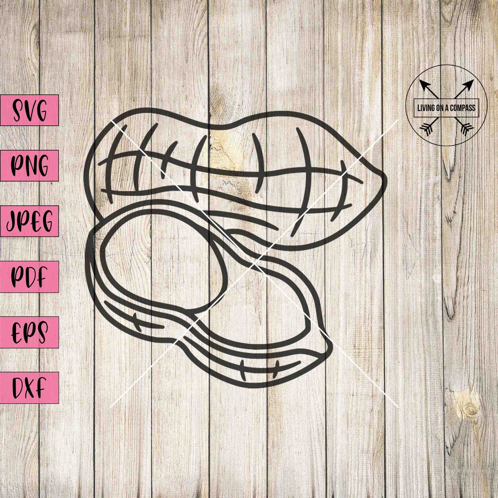 Peanut Svg, Peanut Clipart, Peanuts Svg, Peanuts Png, Peanuts Clipart ...