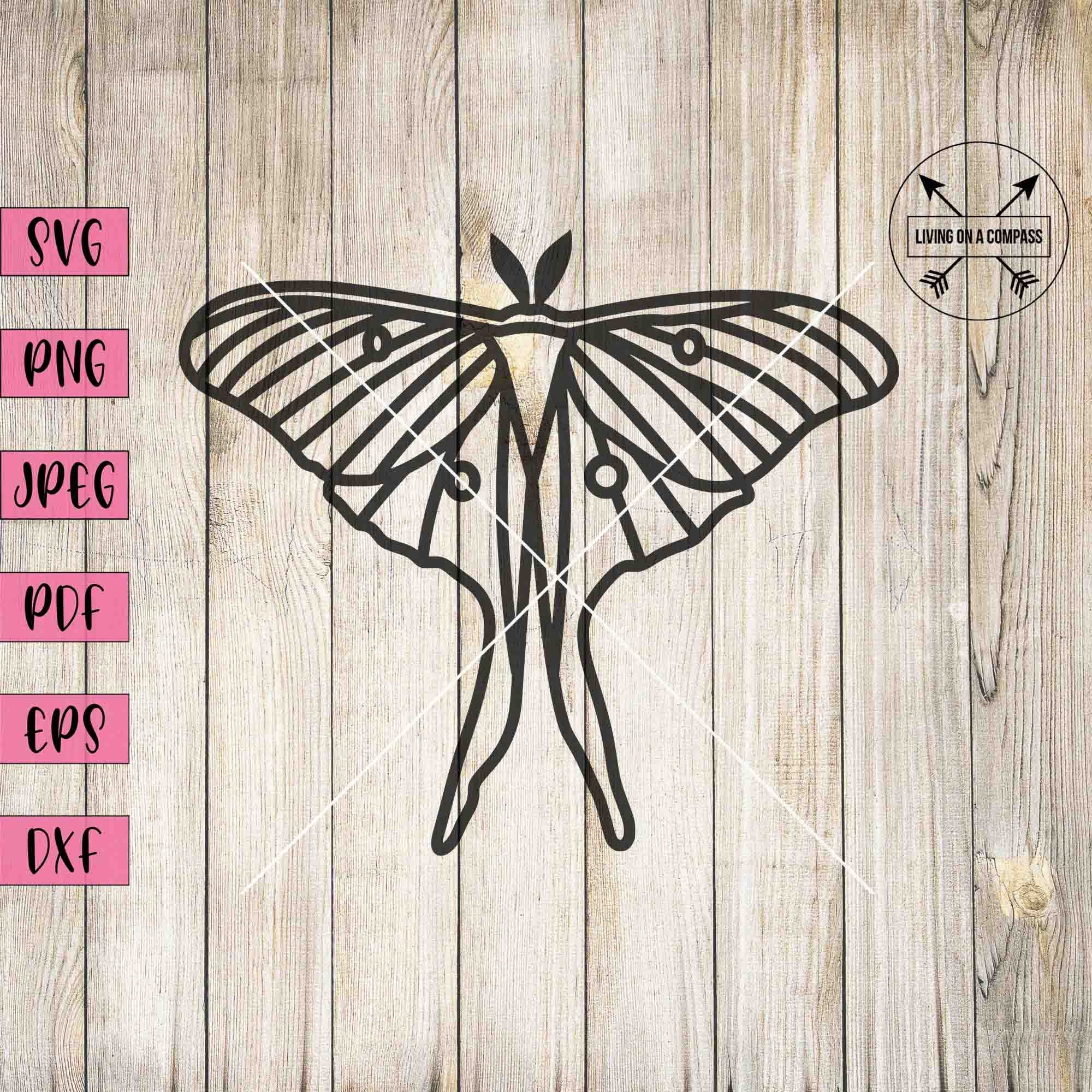 Moth Png Moth Clipart Moth Decor Moth Decal Moth Shirt - Etsy