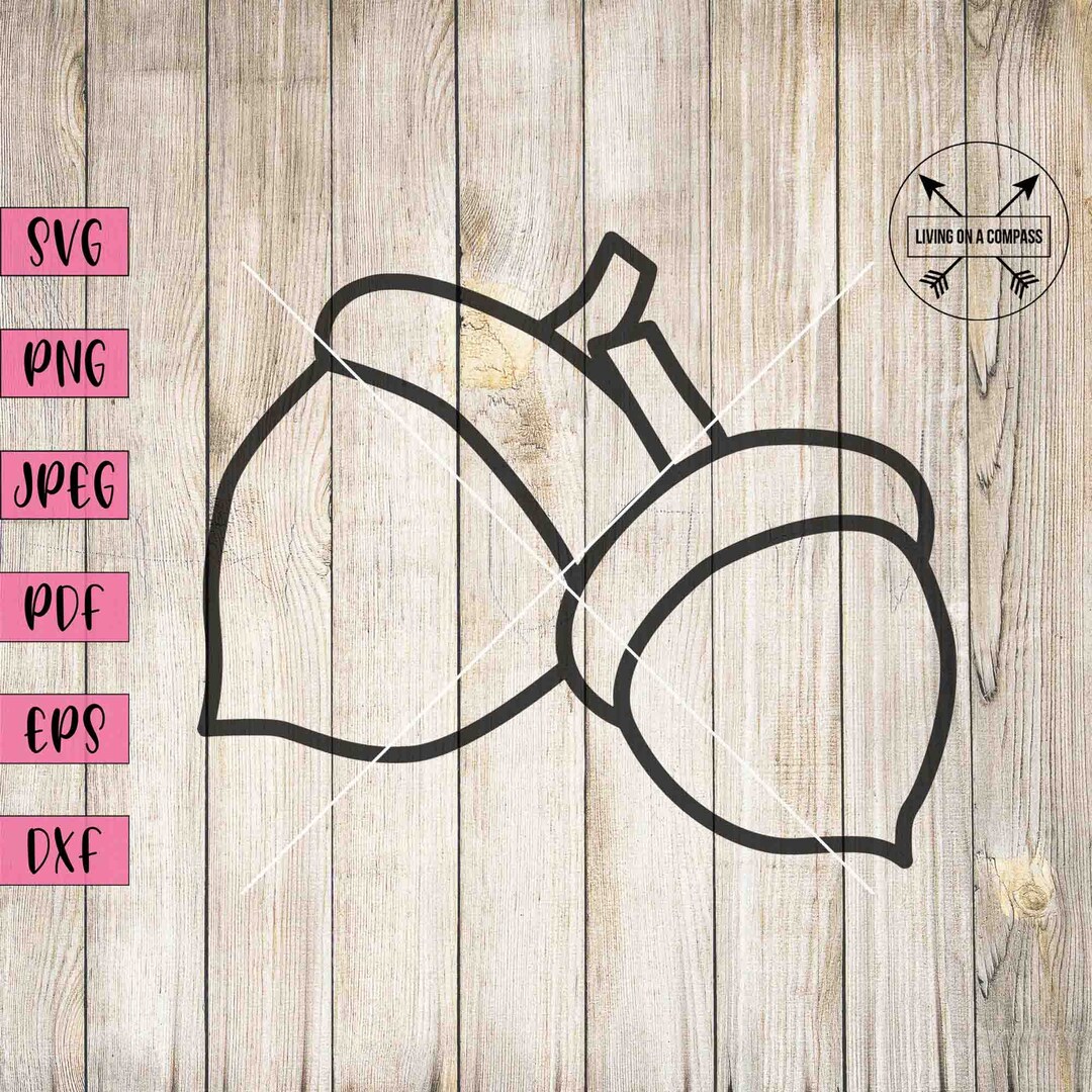 Acorns Svg, Acorns Clipart, Acorns Vector, Autumn Decor, Autumn ...
