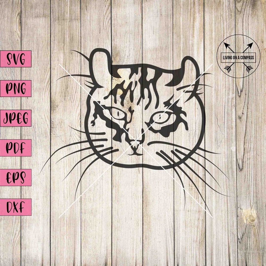 Highlander Cat, Cute Cat Svg, Cat Svg, Cat Clipart, Tabby Cat Svg, Cat ...