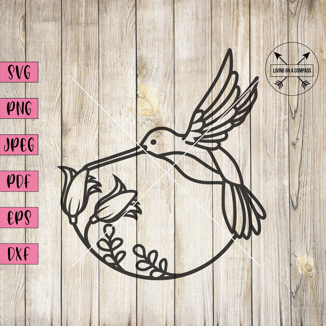 Hummingbird Svg Bird Svg Birds Svg Birds Clipart Bird - Etsy