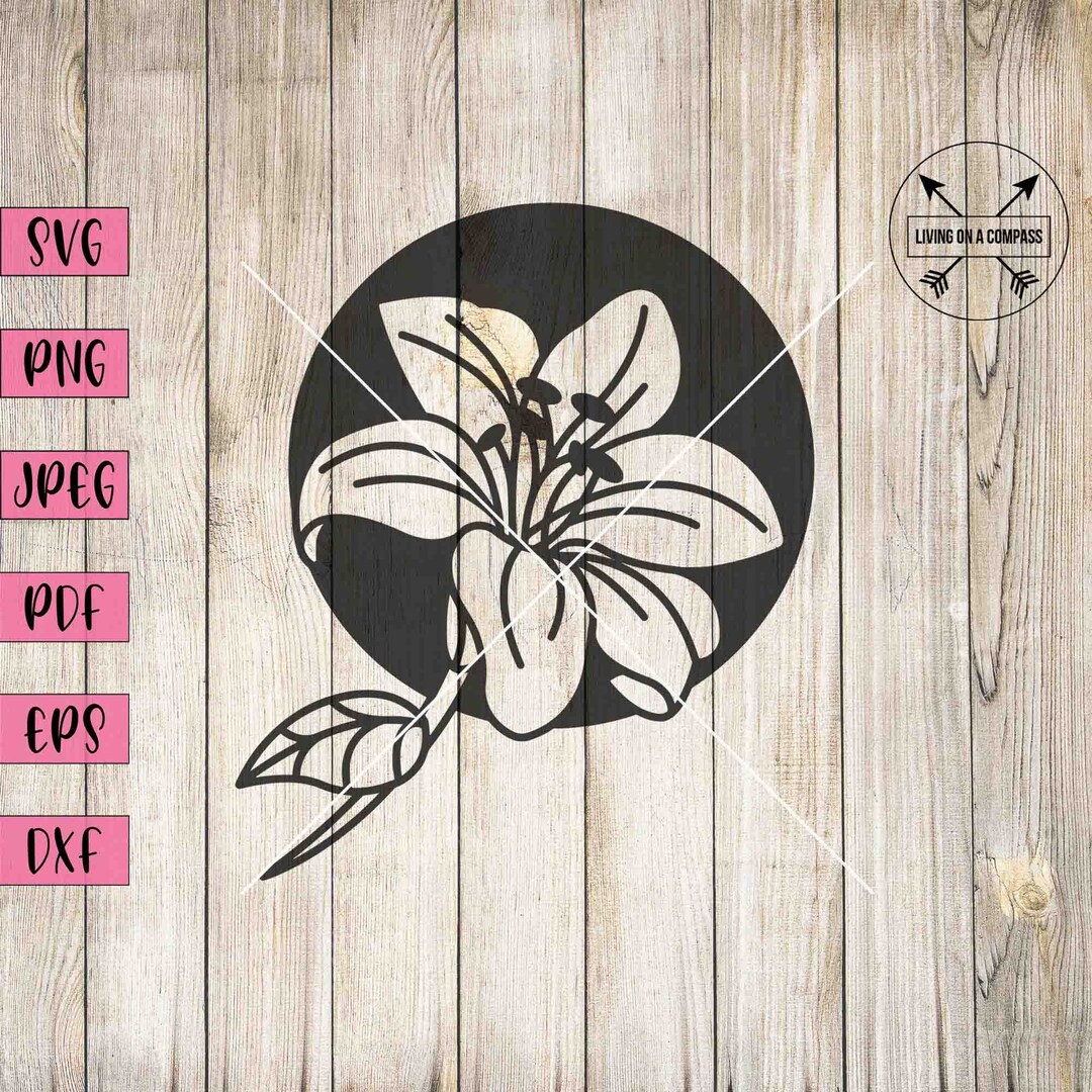 Lily Svg, Lily Png, White Flowers Clipart, Spring Flower Clipart ...