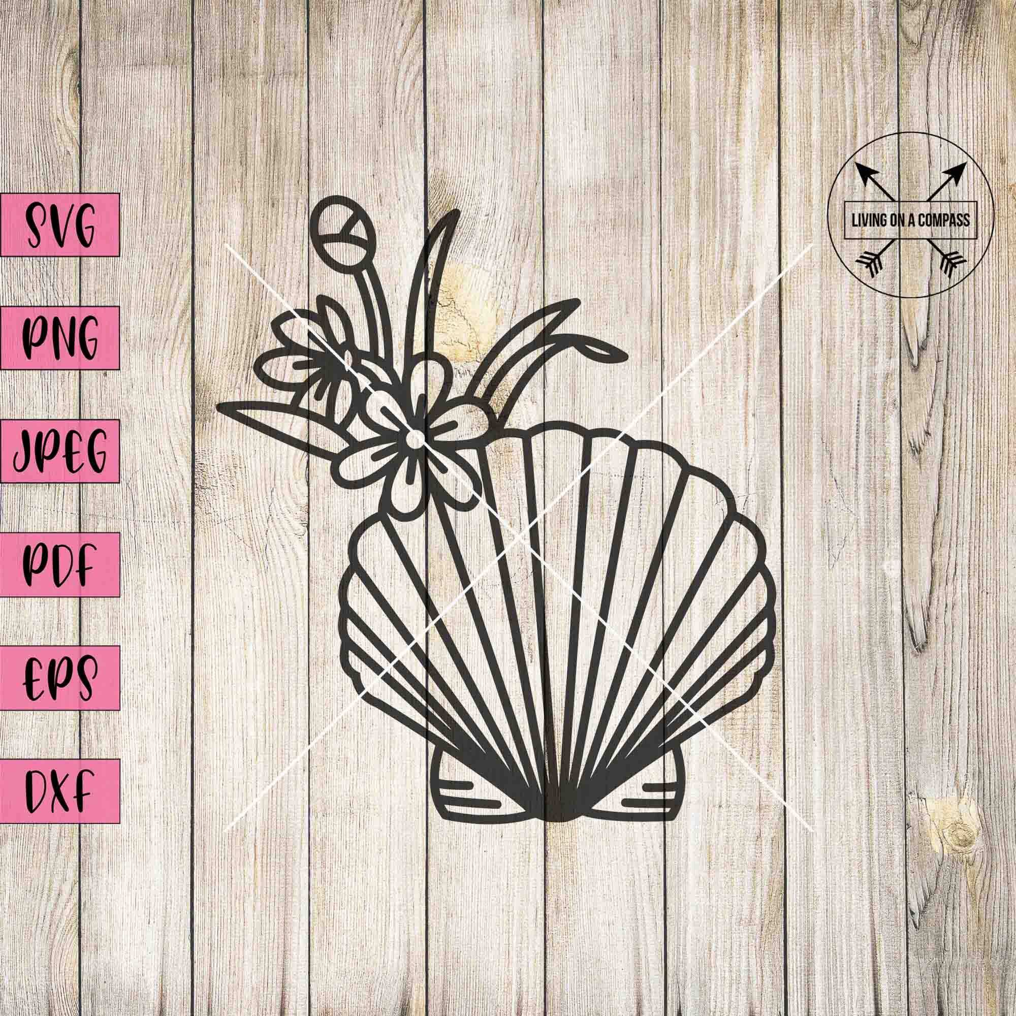 Clam Svg Clam Clipart Shell Svg Shell Png Seashell Svg - Etsy UK