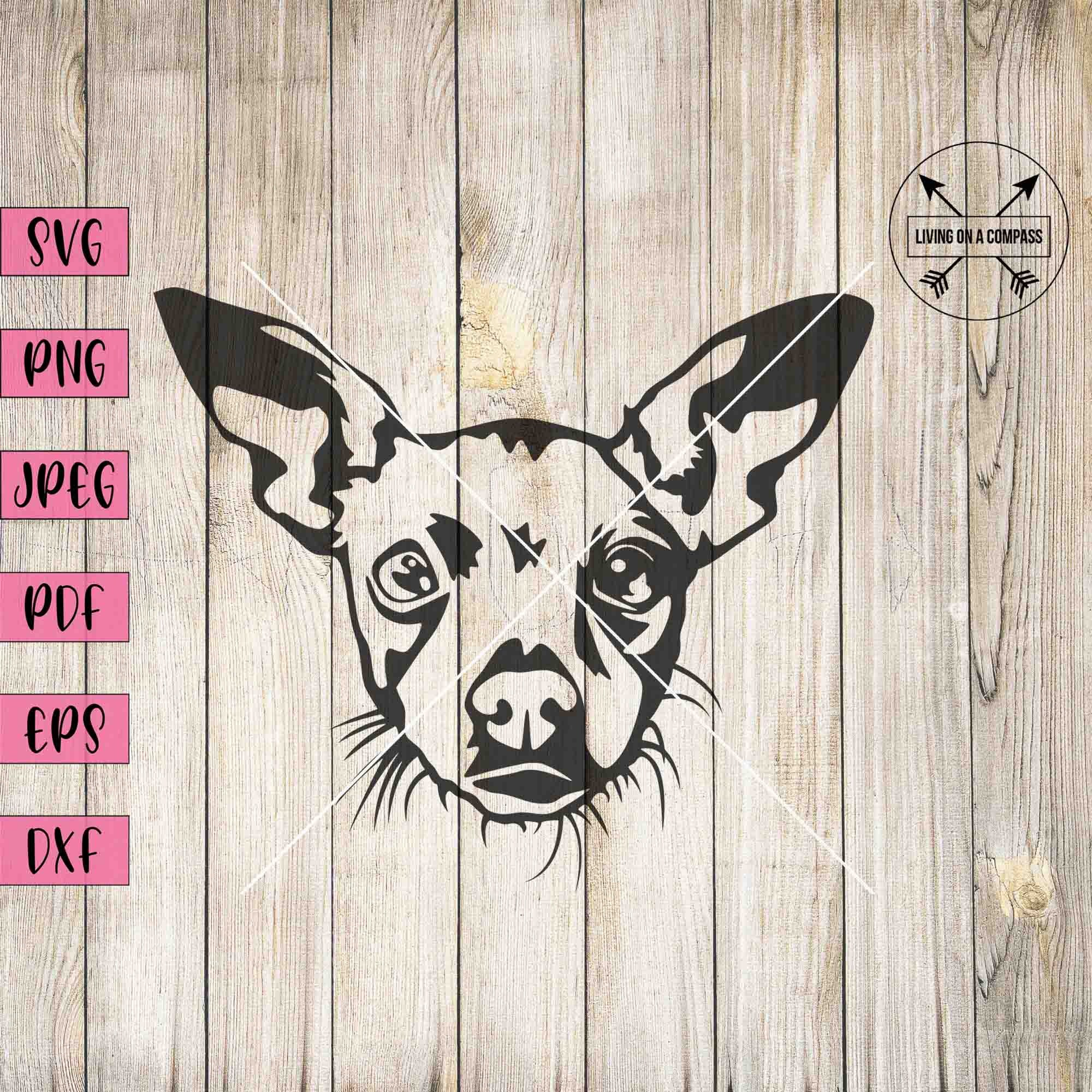 Chipin Svg Mini Pinscher Svg Doberman Pinscher Doberman - Etsy