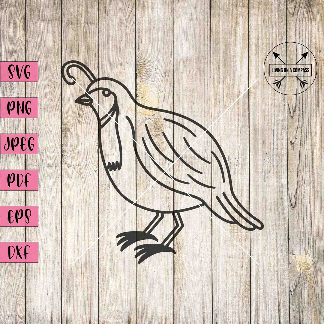 Quail Svg, Quail Clipart, Quail Bird, Bird Svg, Bird Clipart, Bird ...