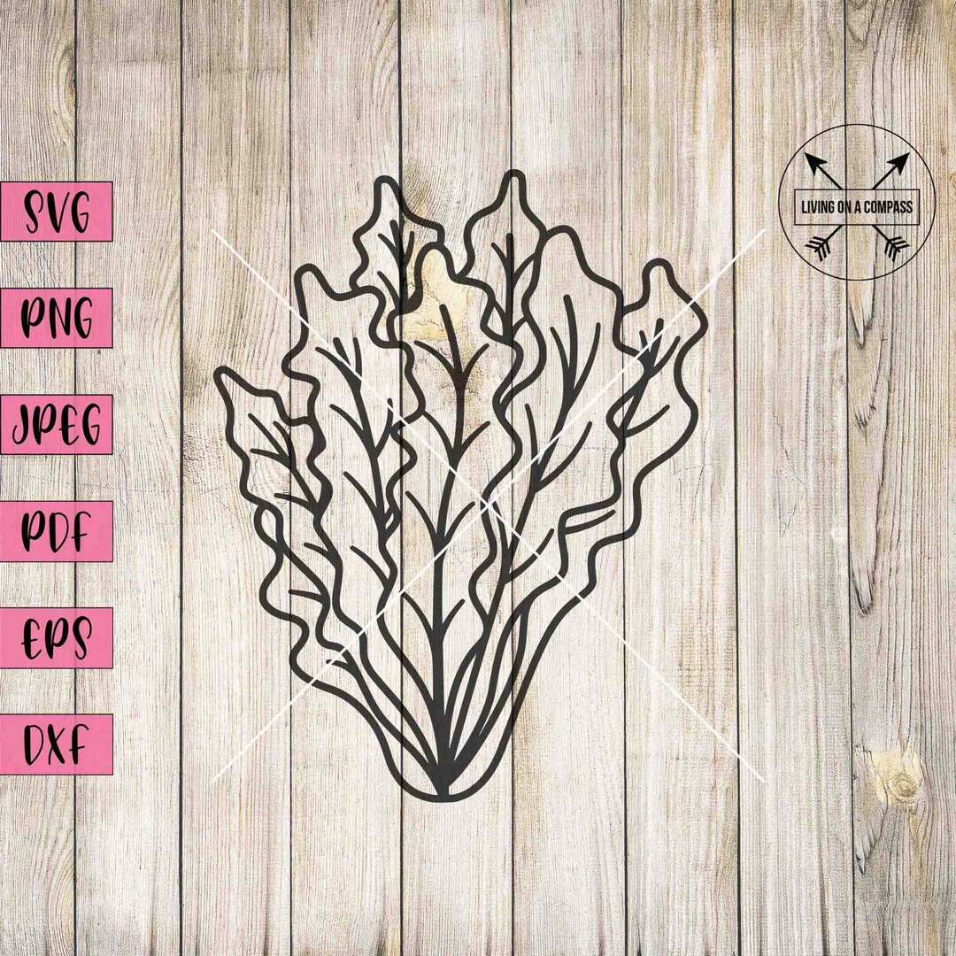 Lettuce Svg, Vegetable Svg, Veggie Svg, Veggie Clipart, Lettuce Png ...