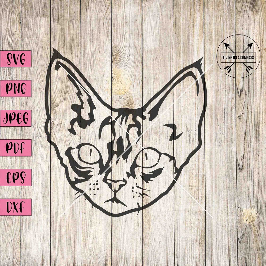 Devon Rex Cat, Devon Rex Svg, Cat Svg, Cat Png, Crazy Cat Lady Svg, Cat ...