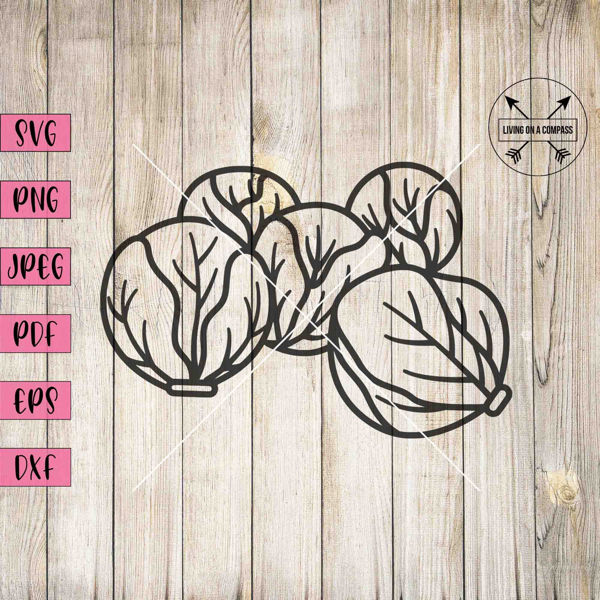 Brussels Sprouts Svg, Brussels Sprouts Clipart, Brussels Sprouts Png ...