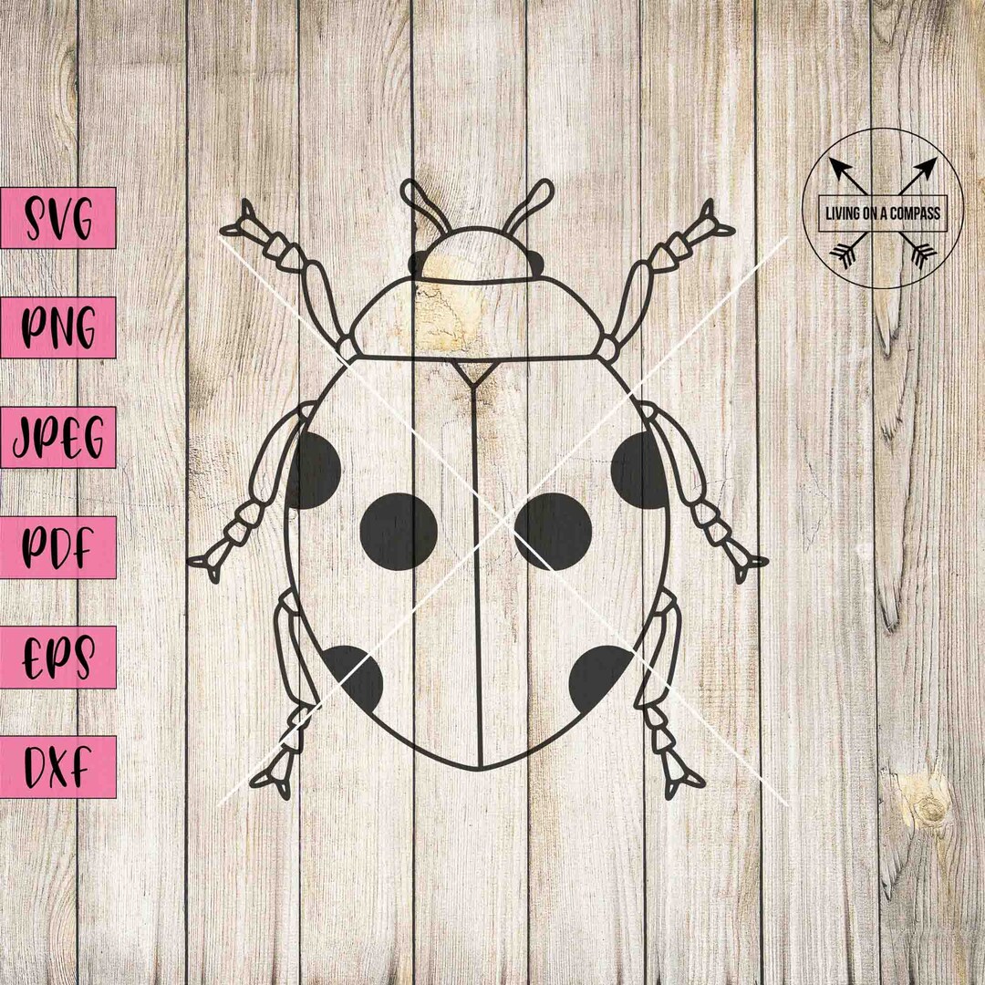 Ladybug Svg, Ladybug Png, Ladybug Clipart, Bug Svg, Bug Print, Bug Png ...
