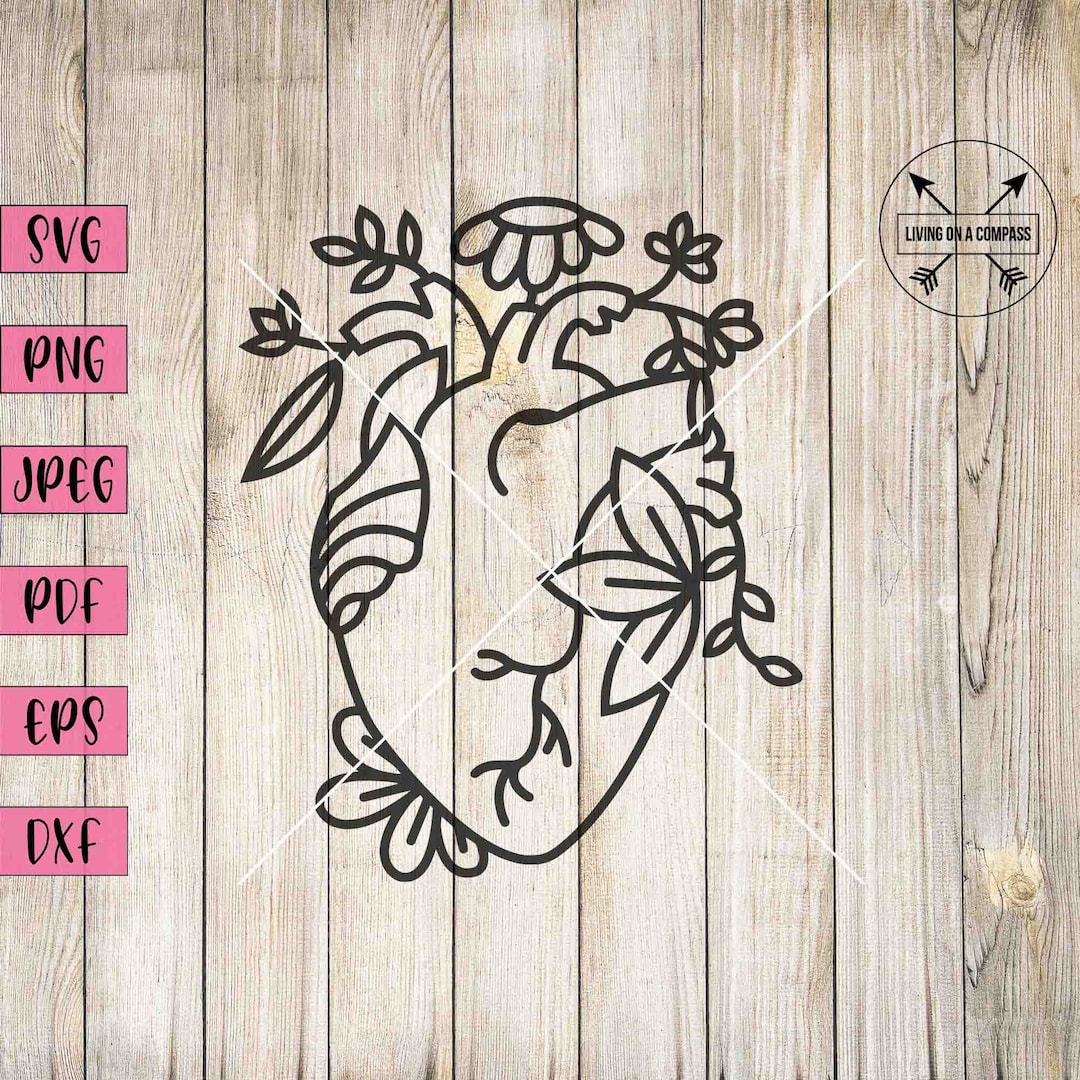 Anatomical Heart, Heart Svg, Human Heart Clipart, Anatomy Illustration ...