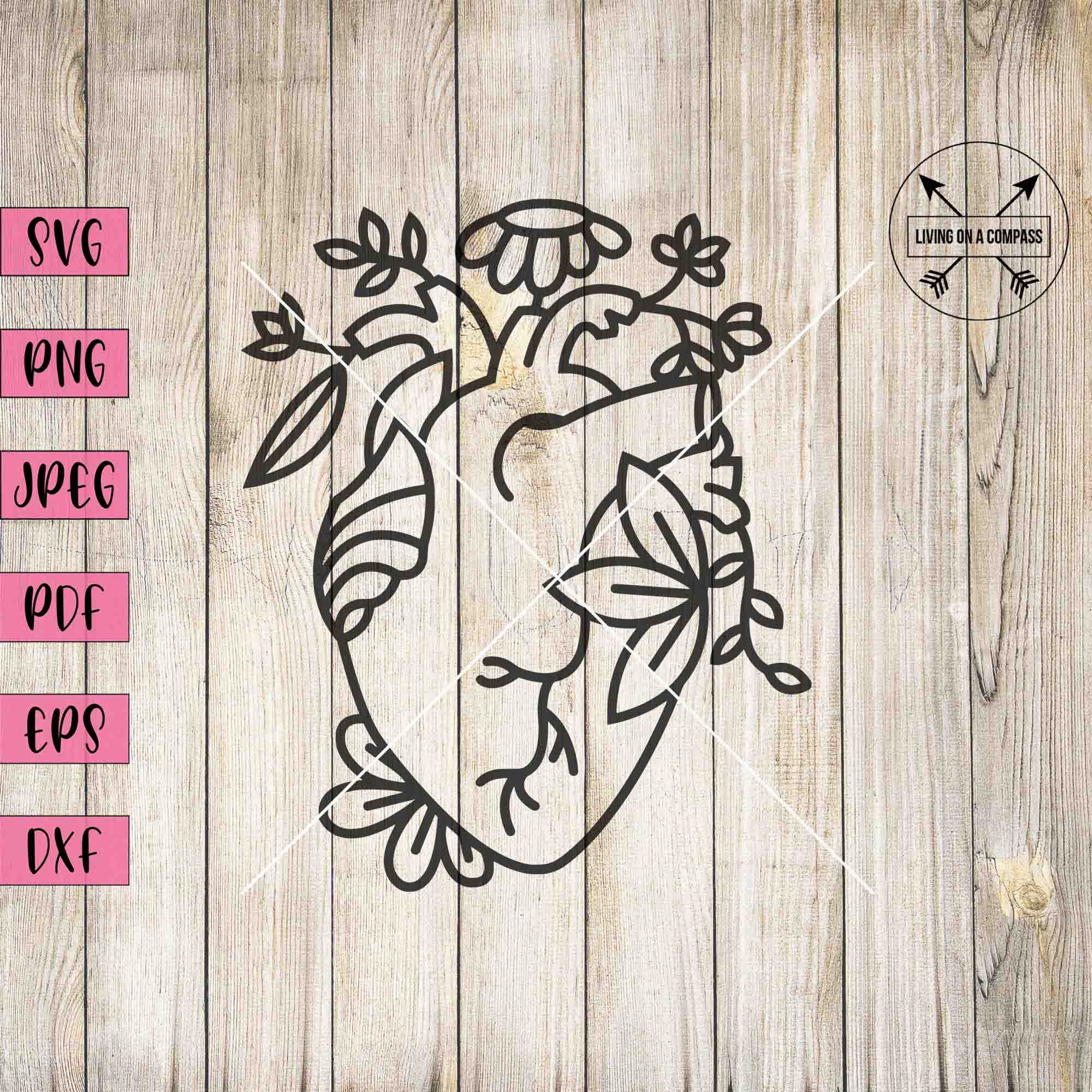 Anatomical Heart, Heart Svg, Human Heart Clipart, Anatomy Illustration ...