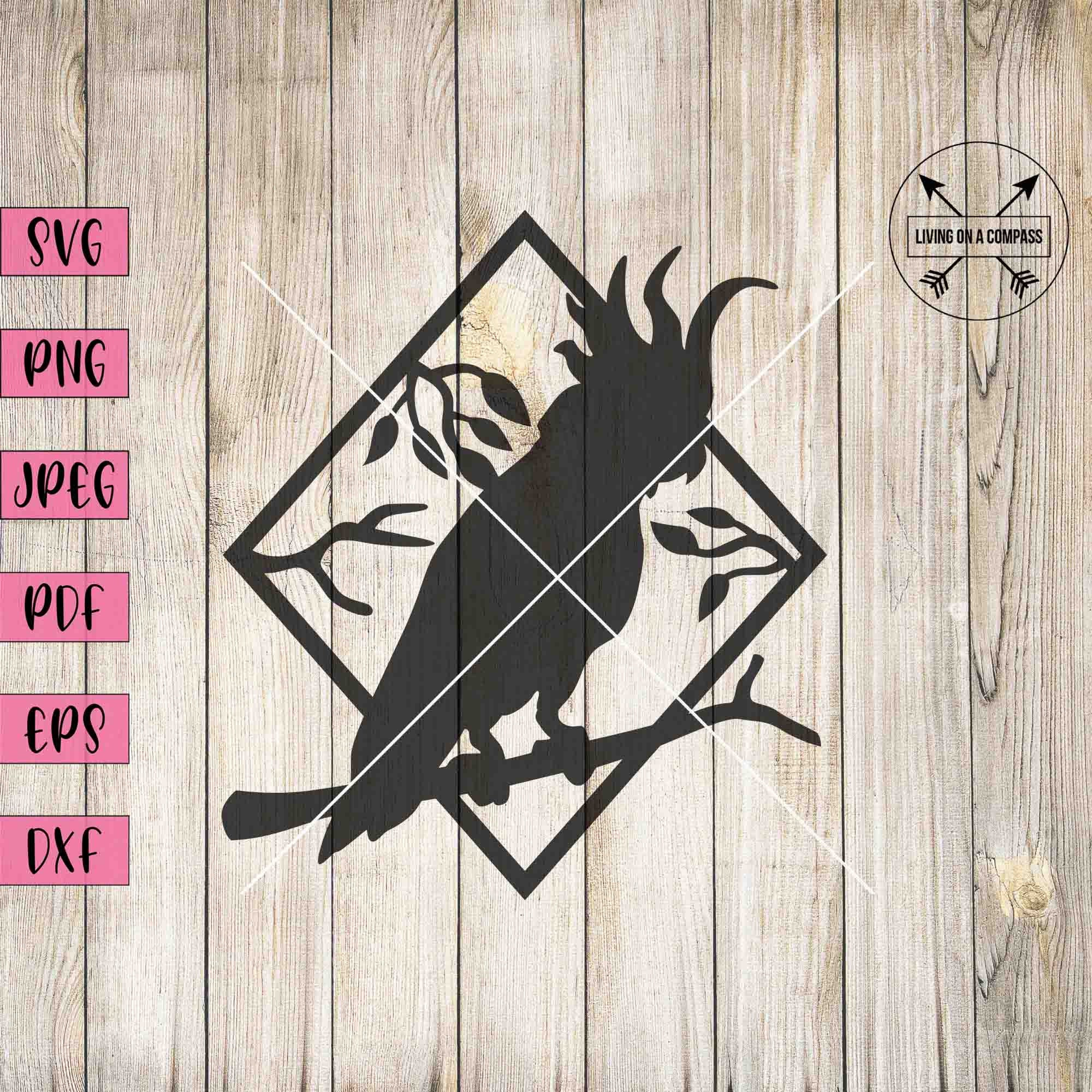 Cockatoo Svg Bird Svg Flying Bird Svg Cockatoo Art Bird - Etsy Australia