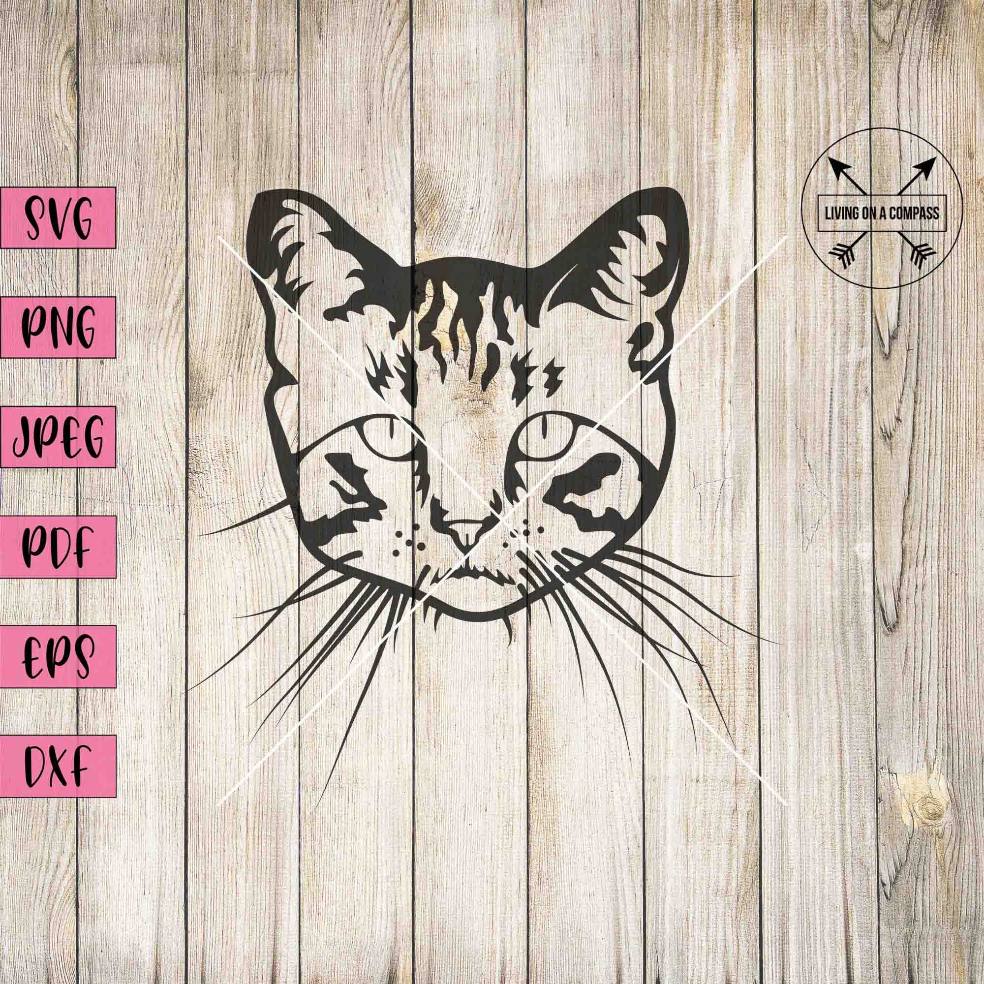 Manx Cat, Manx Cat Svg, Cat Svg, Cat Png, Cat Clipart, Tabby Cat Svg ...