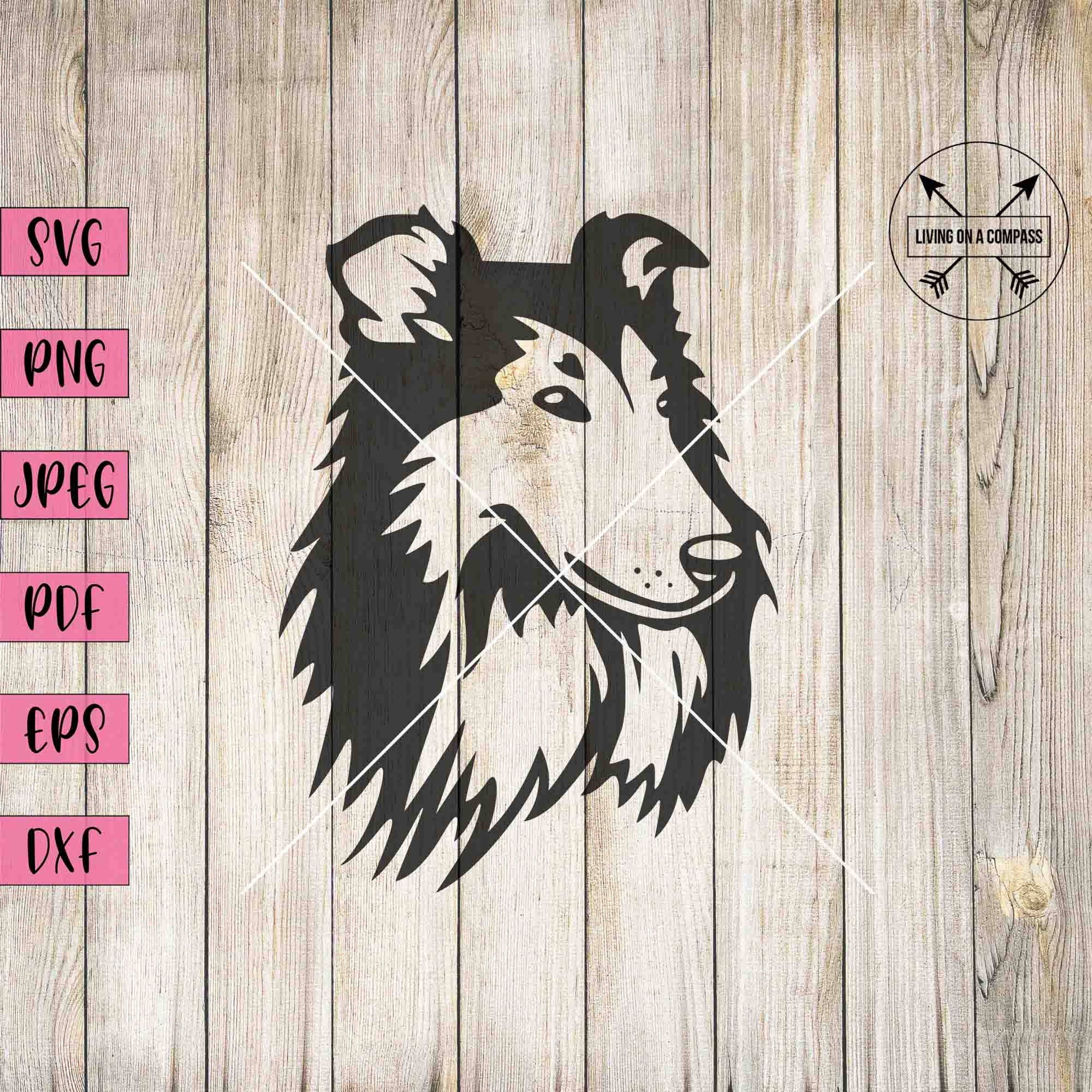 Border Collie Svg Border Collie Clipart Border Collie - Etsy