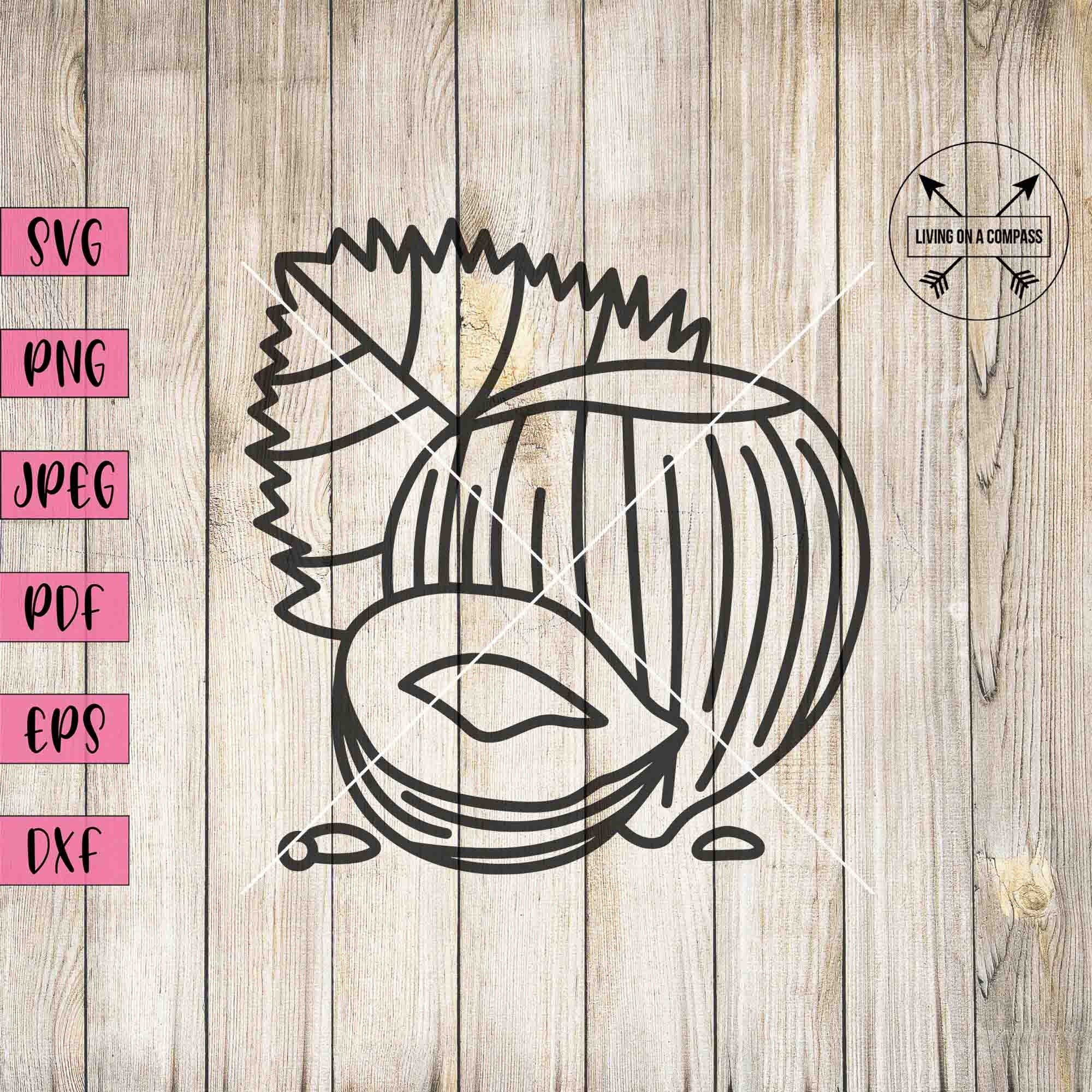 Chestnut Svg Nuts Clipart Nuts Gift Nuts Gifts Food Svg - Etsy