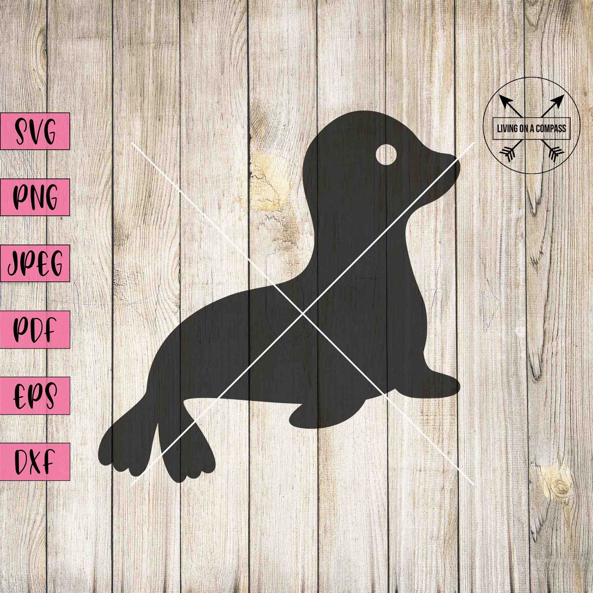 León marino svg imágenes prediseñadas de león foca foca svg - Etsy México