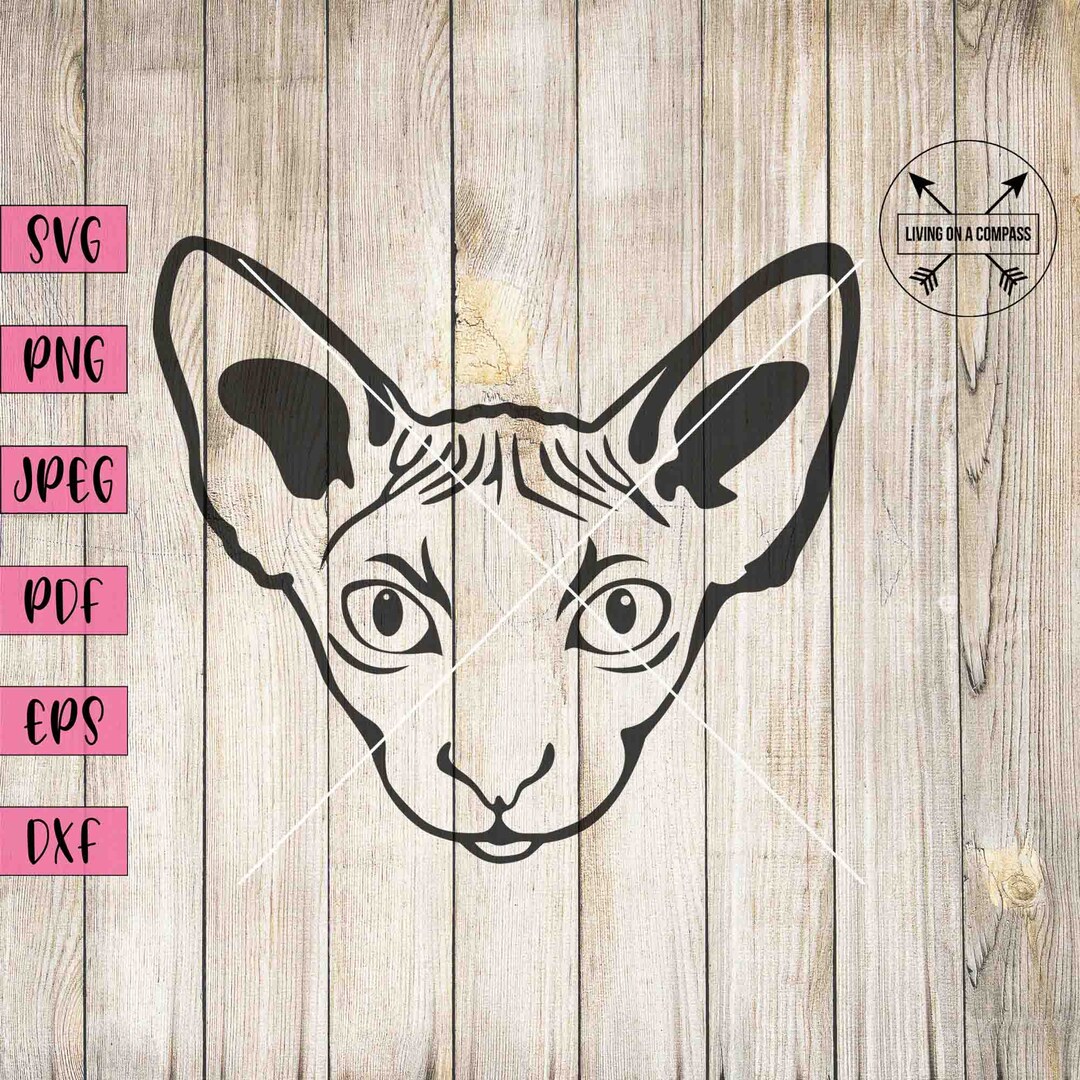 Sphynx Cat Svg, Hairless Cat, Cat Svg, Cat Png, Cat Clipart, Cat Art ...