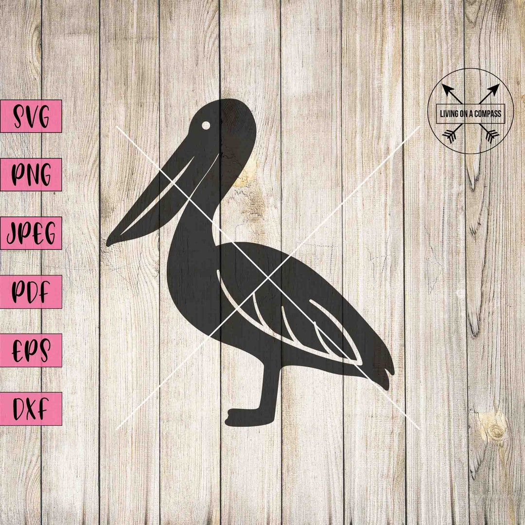 Pelican Svg, Pelican Decal, Bird Svg, Bird Clipart, Birds Svg, Birds ...