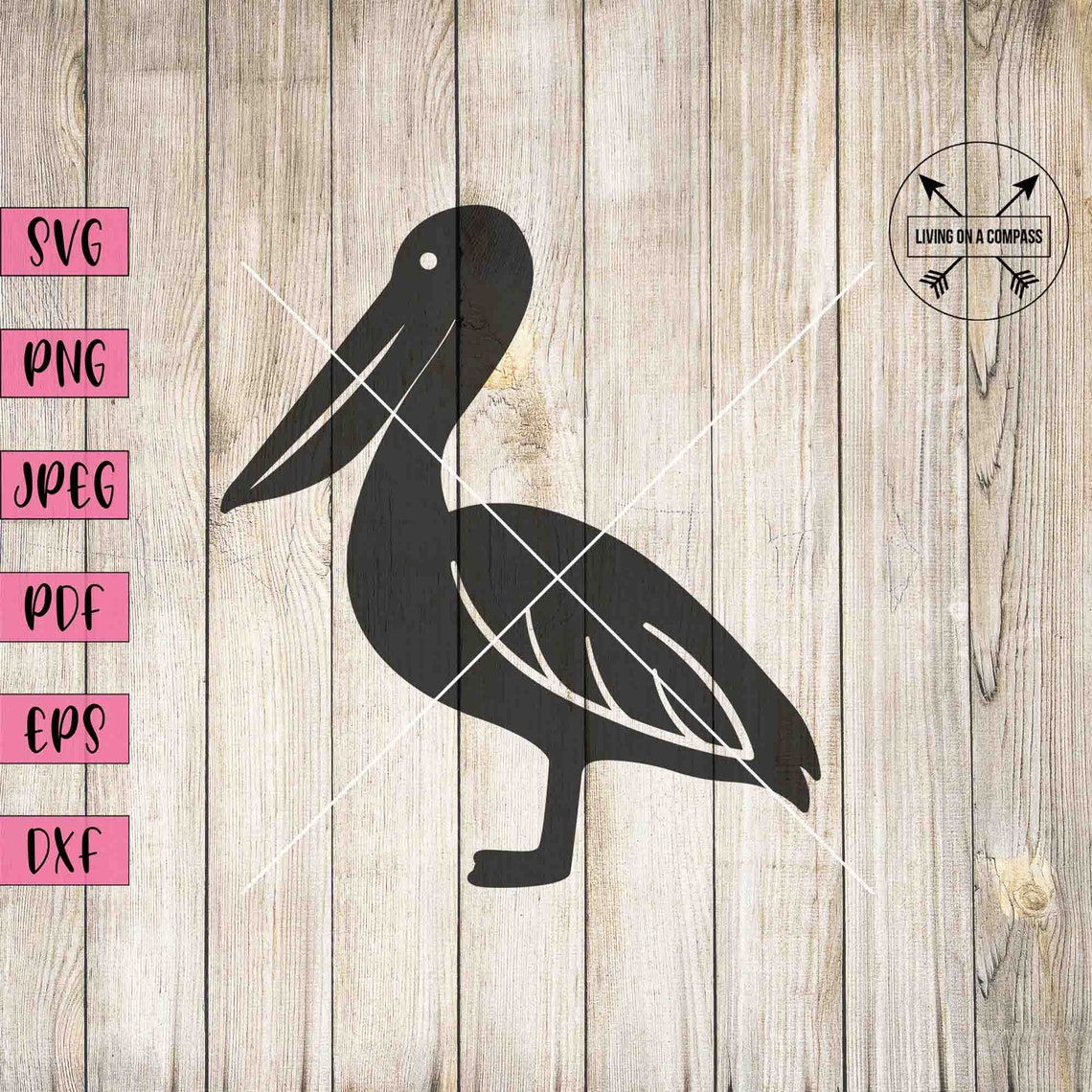 Pelican Svg Pelican Decal Bird Svg Bird Clipart Birds Svg - Etsy