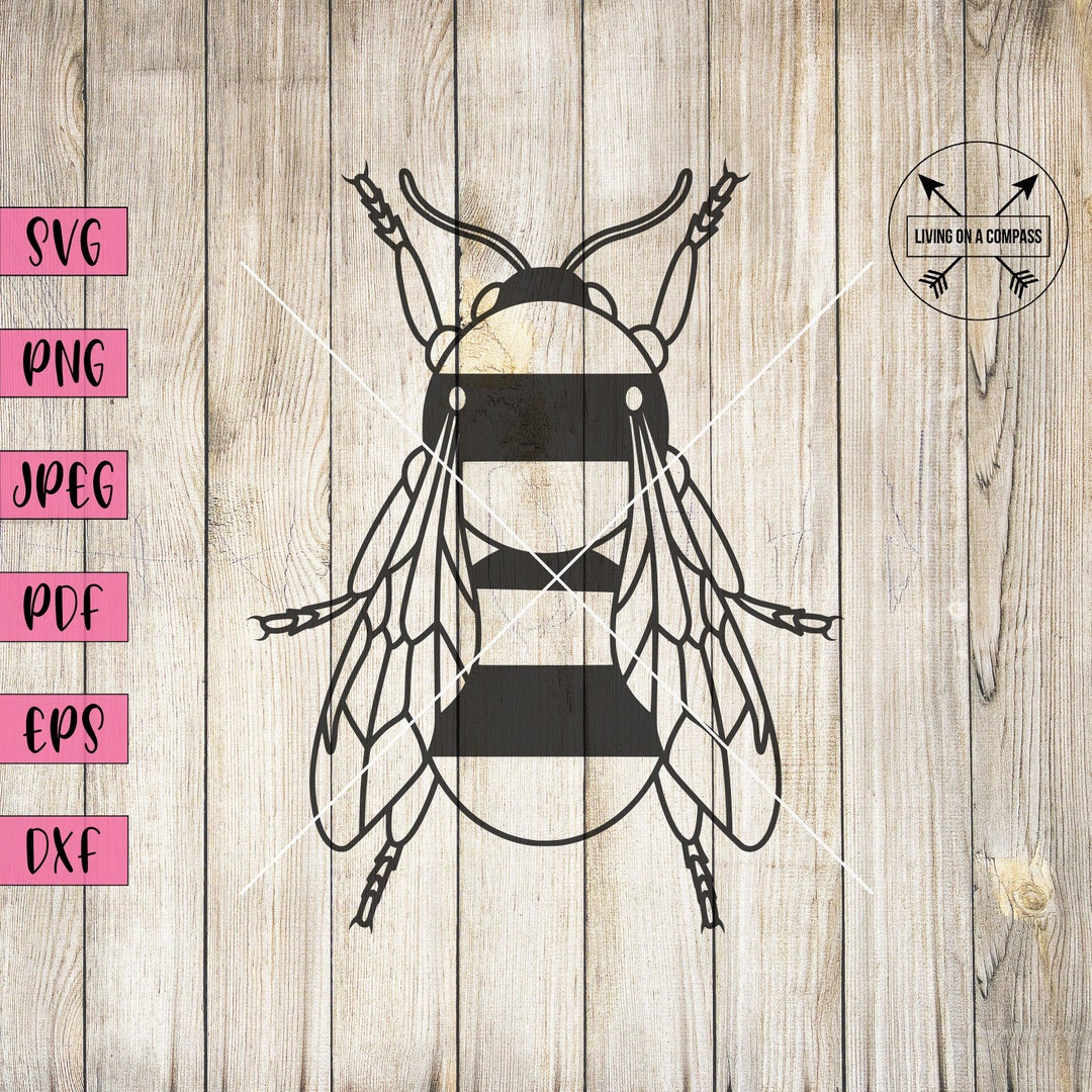 Bee Svg, Bumble Bee Svg, Insect Svg, Honey Bee Svg, Bumble Bee Svg, Bee ...
