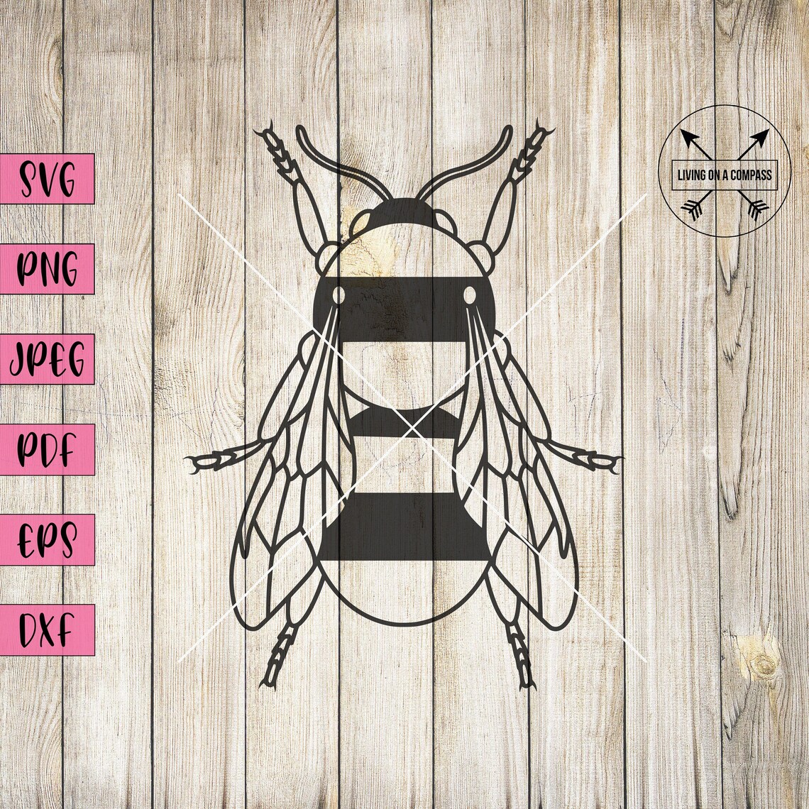 Bee Svg, Bumble Bee Svg, Insect Svg, Honey Bee Svg, Bumble Bee Svg, Bee ...