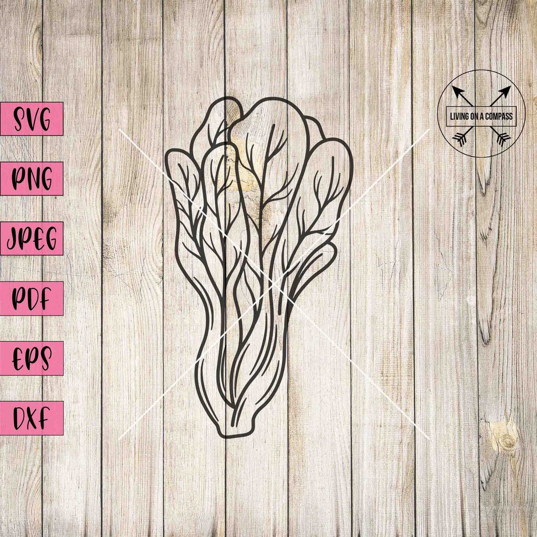 Chinese Cabbage Svg, Vegetable Svg, Veggie Svg, Veggie Clipart, Chinese ...