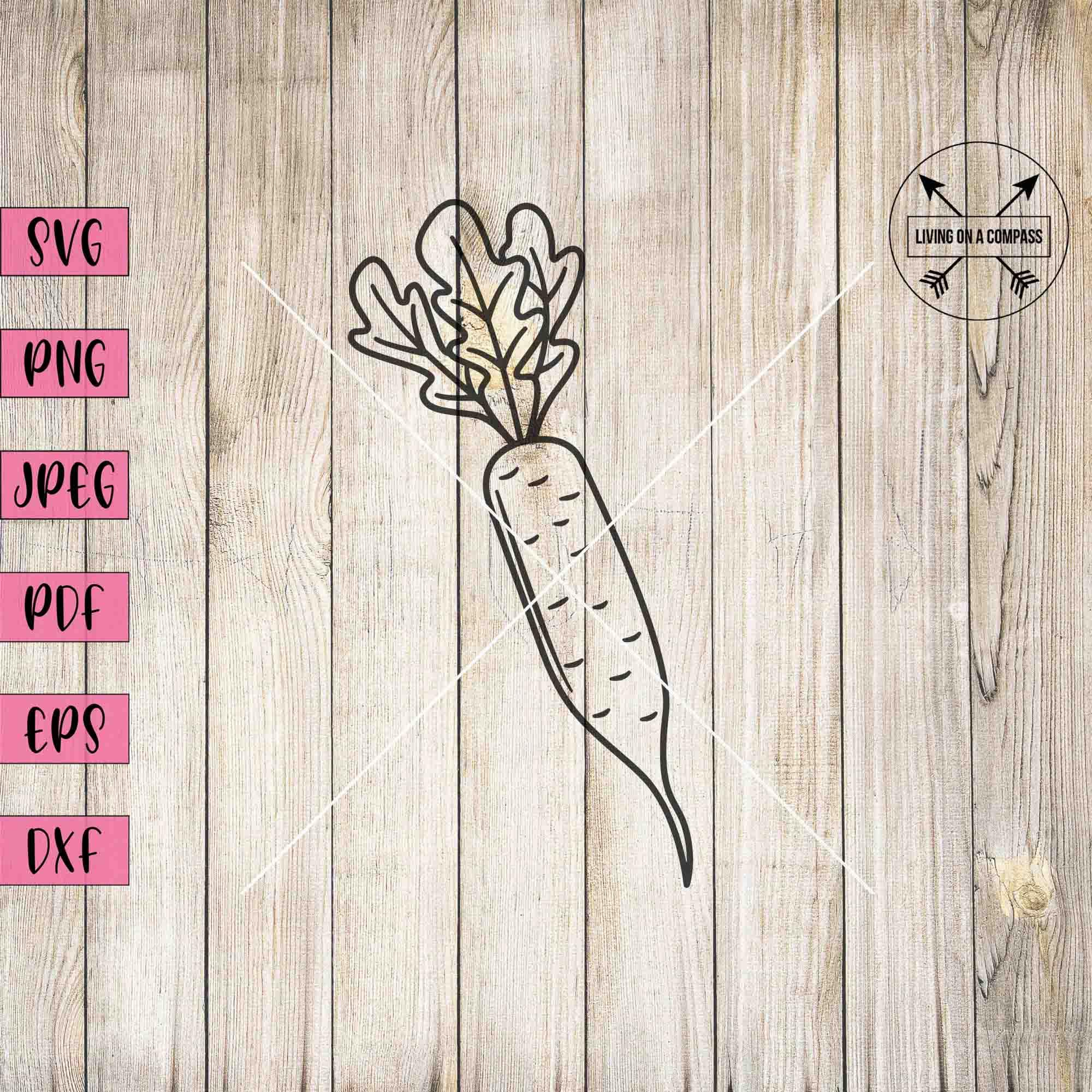 Radish Svg, Radish Png, Vegetable Svg, Vegetable Signs, Vegetable ...