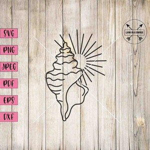 Shell Svg, Conch Shell, Shell Png, Sun Decal, Sun Clip Art, Shell Print ...