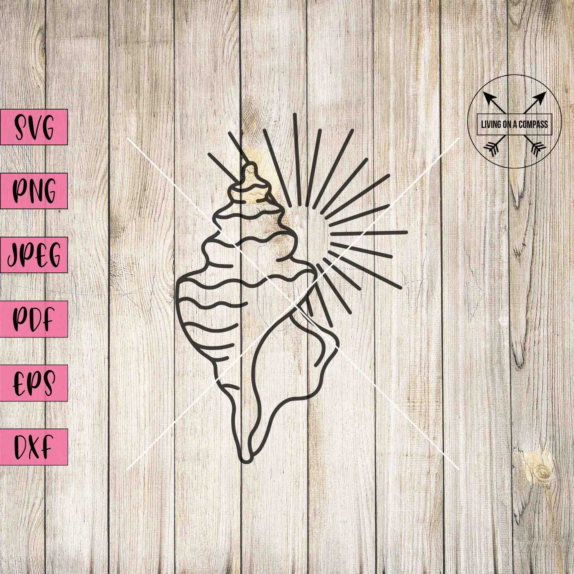 Shell Svg, Conch Shell, Shell Png, Sun Decal, Sun Clip Art, Shell Print ...