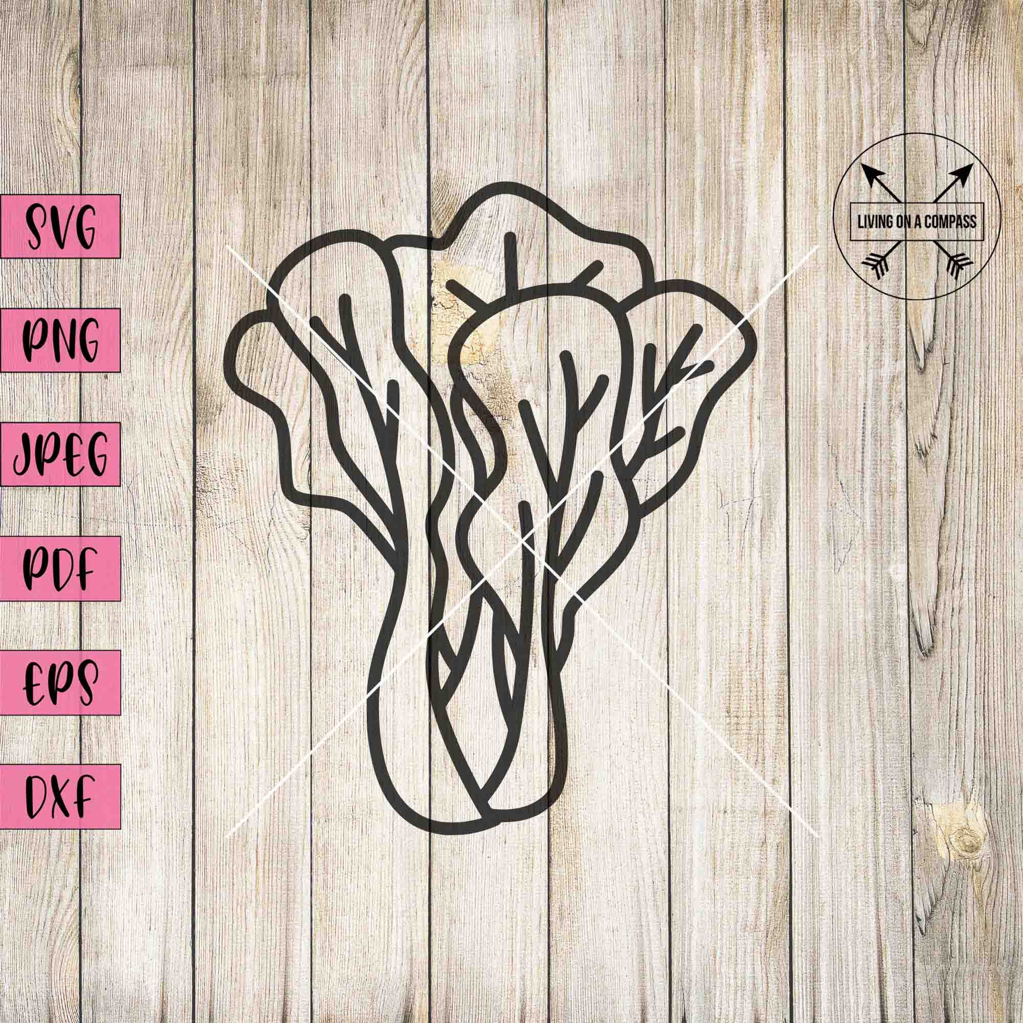 Col china svg, vegetal svg, veggie svg, veggie clipart, col china svg ...