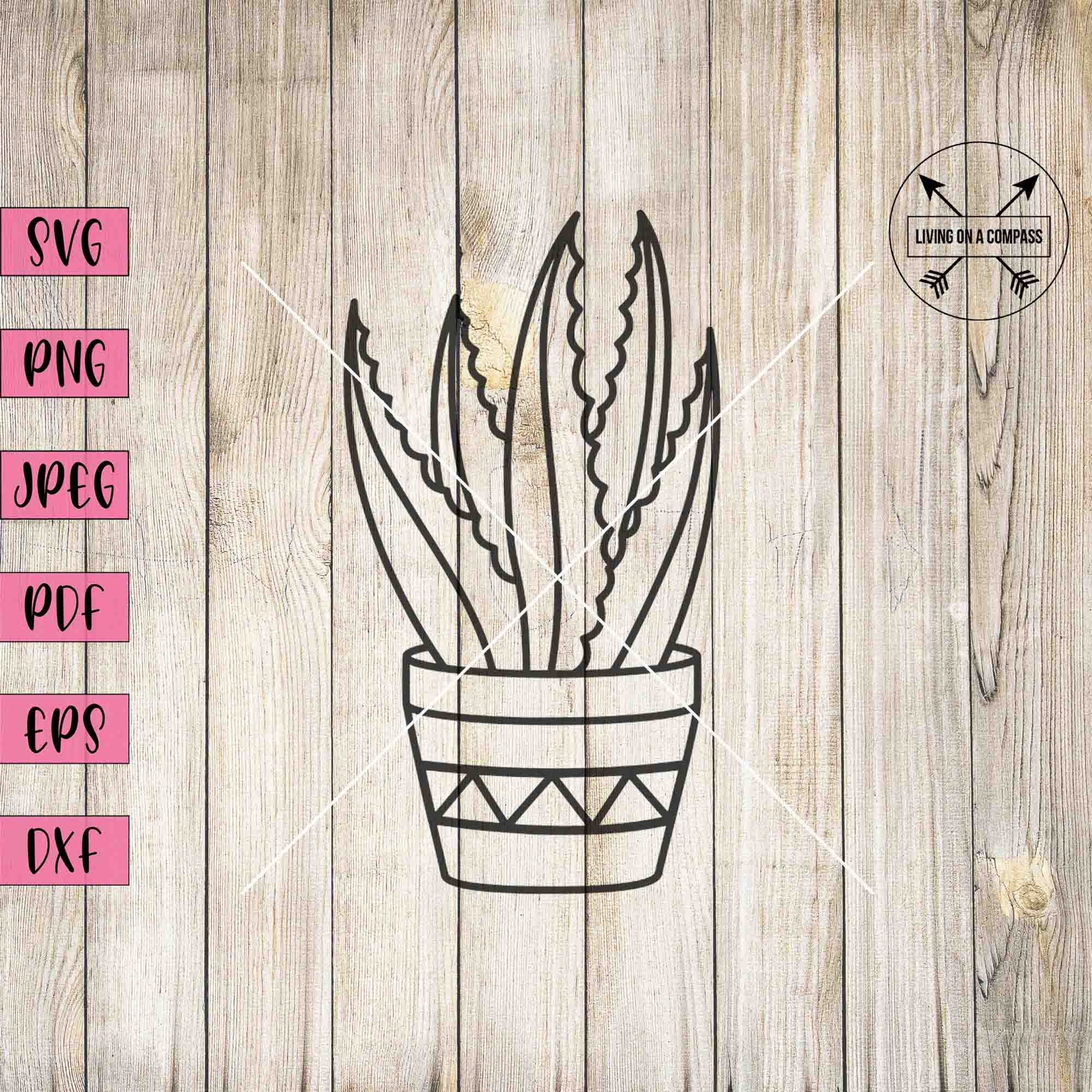 Aloe Vera Svg, Aloe Vera Plant, Plant Svg, Plant Png, Potted Plant Clip ...