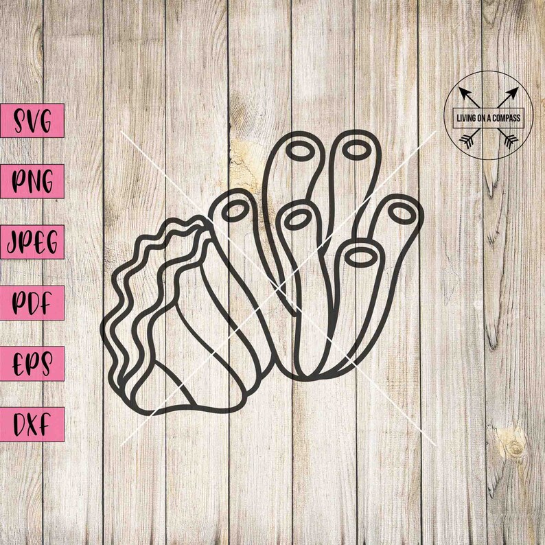 Coral Svg, Coral Clipart, Seashell Svg, Seashell Wall Art, Seashell ...