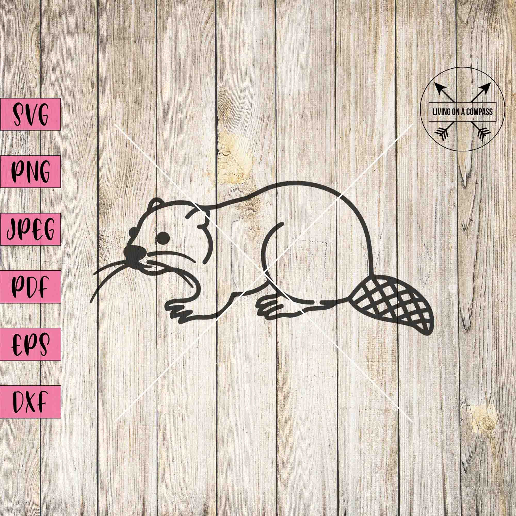 Beaver Svg, Beaver Png, Beaver Clipart, Animal Svg, Animal Clipart ...