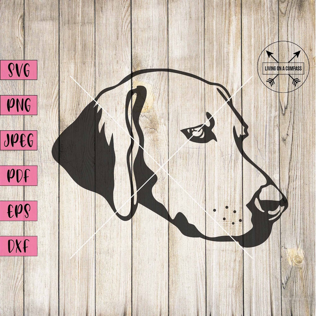 Harrier Dog Svg, Dog Svg, Dog Svg Files, Labrador Stickers, Labrador ...
