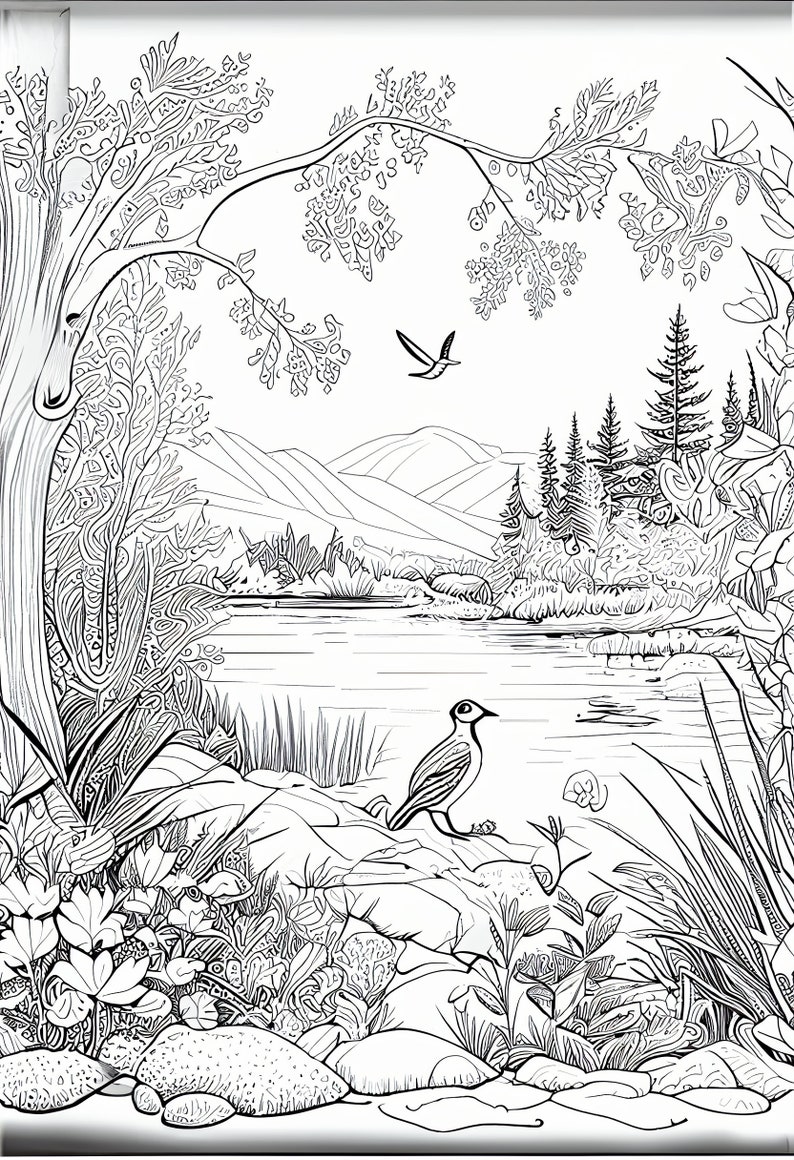 5 NATURE SCENES COLORING Instant Download Only on Etsy - Etsy