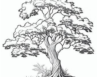 Acacia Tree Coloring Page