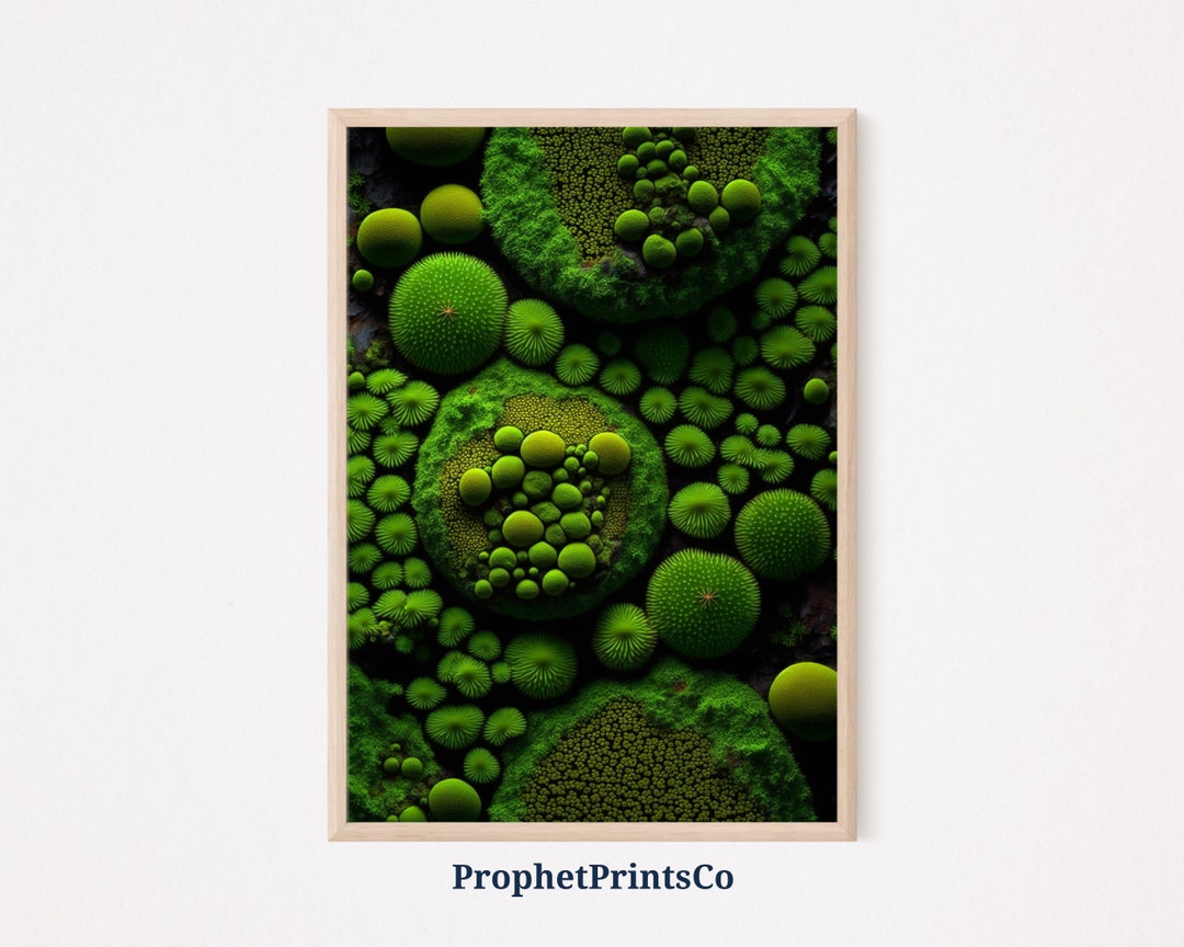 Moss Poster Print | Modern Green Plant Wall Art | Moss & Nature Gift ...